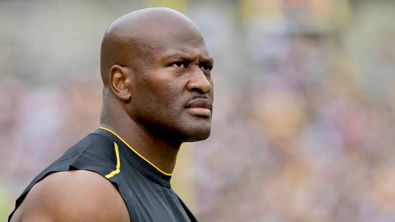 Steelers greats James Harrison, Hines Ward miss cut for Hall of Fame
