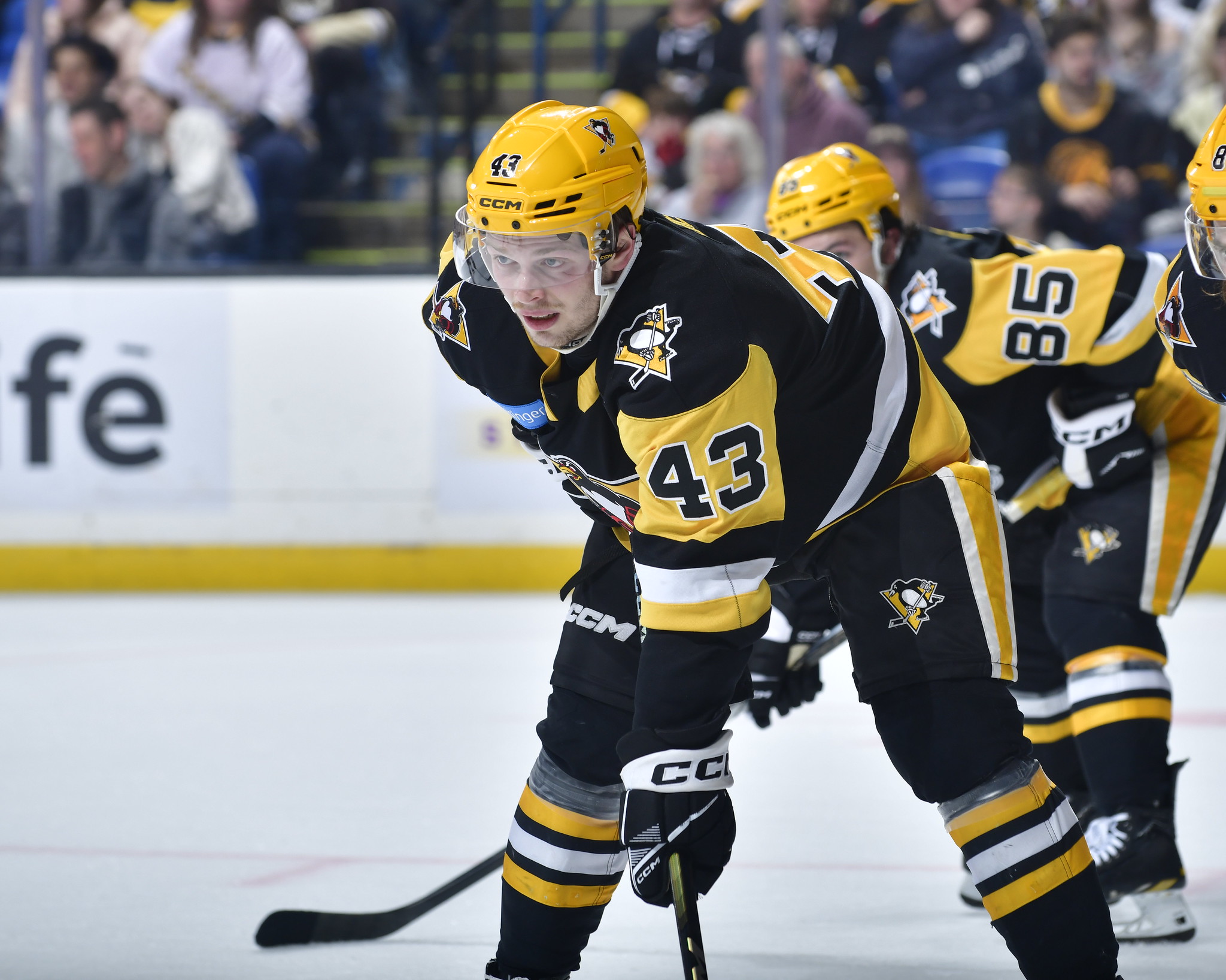 Penguins re-sign Jack Beck to AHL contract