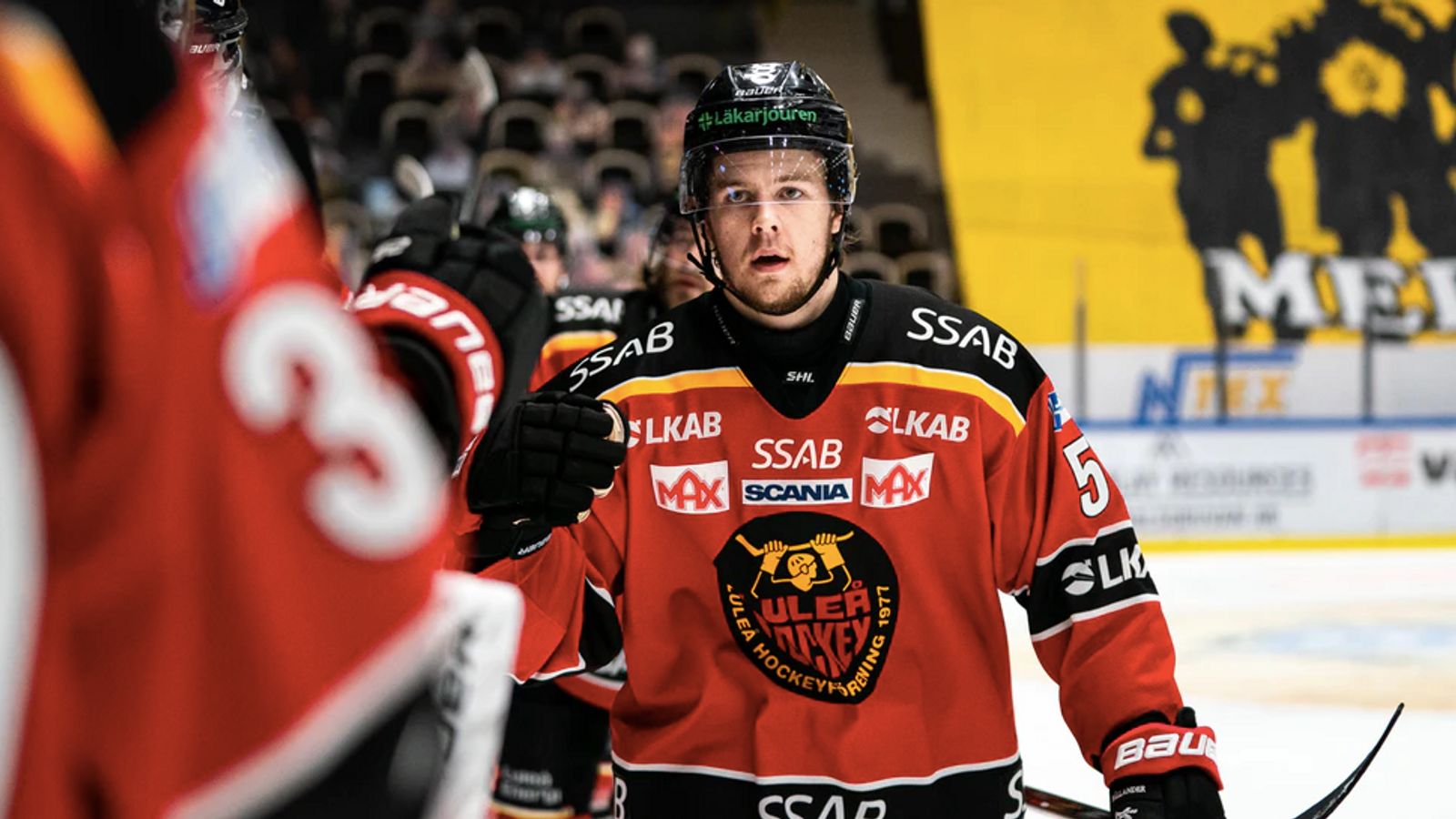 Penguins re-acquire 'power forward' Filip Hallander from Maple Leafs