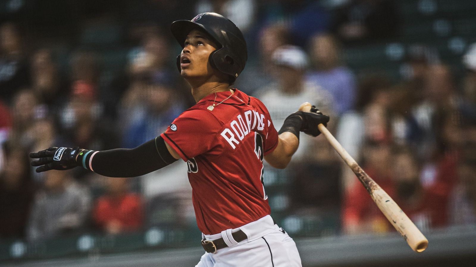 Endy Rodriguez, Quinn Priester take Pirates' top minor-league player ...