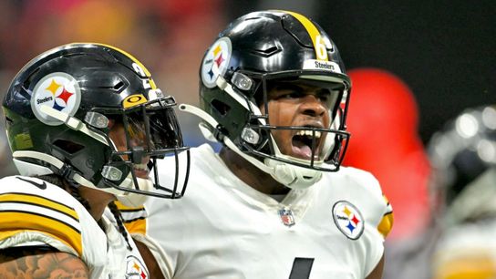 Freeze Frame: Was Pressley Harvin’s punt for Steelers methodical or ...